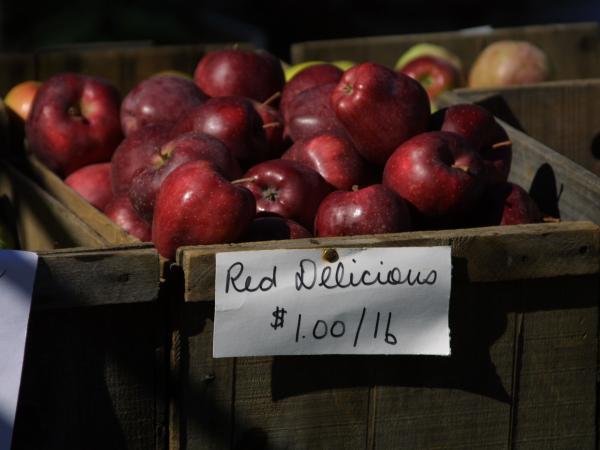 Catskills Farmers Markets, Farms, and Farm Stands
